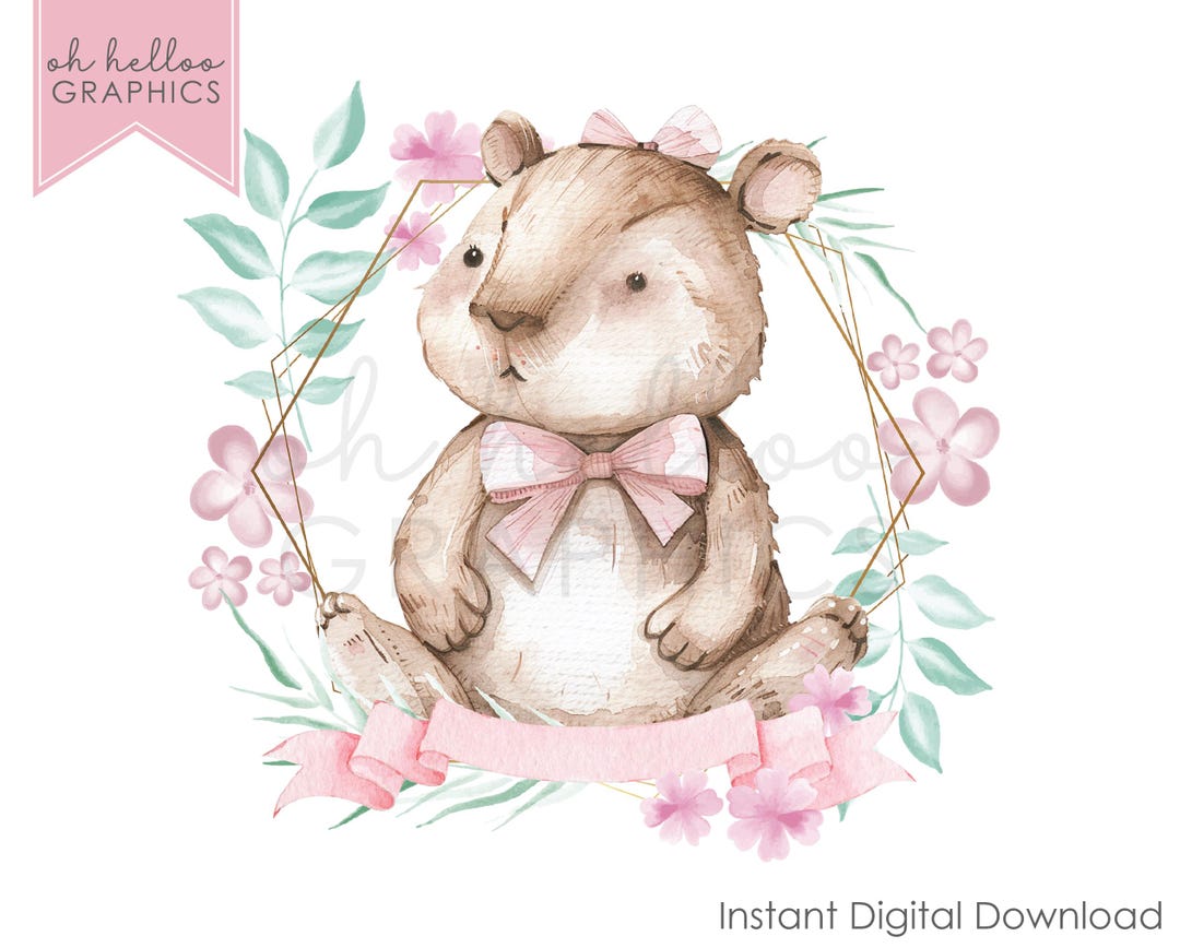 Watercolor Beaver Clipart, Pink Flower Wreath, Baby Shower Design ...