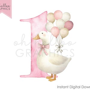 Silly Goose 1st Birthday Clipart, PNG Graphic (digital Download) - Etsy