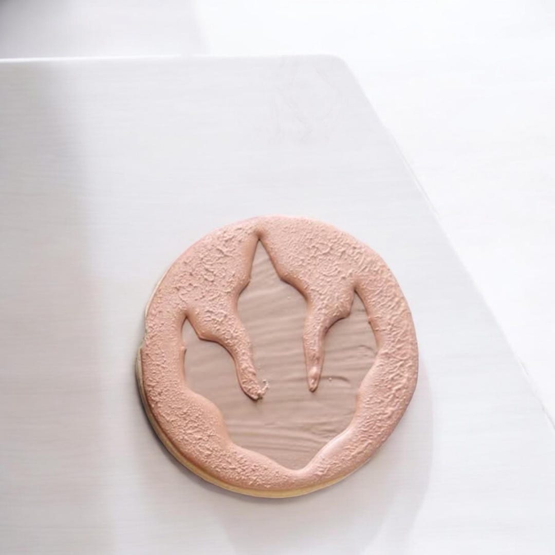 Dinosaur Foot Print Royal Icing Sugar Cookies - Etsy