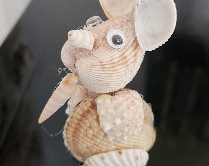 Beach Bunny Shells - Etsy