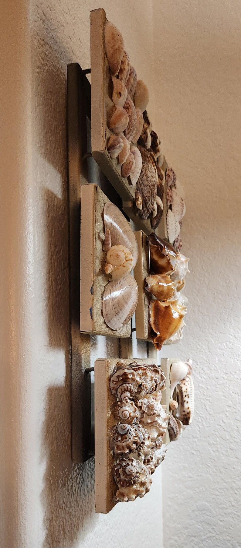 Sea Shell Wall Decor - Etsy
