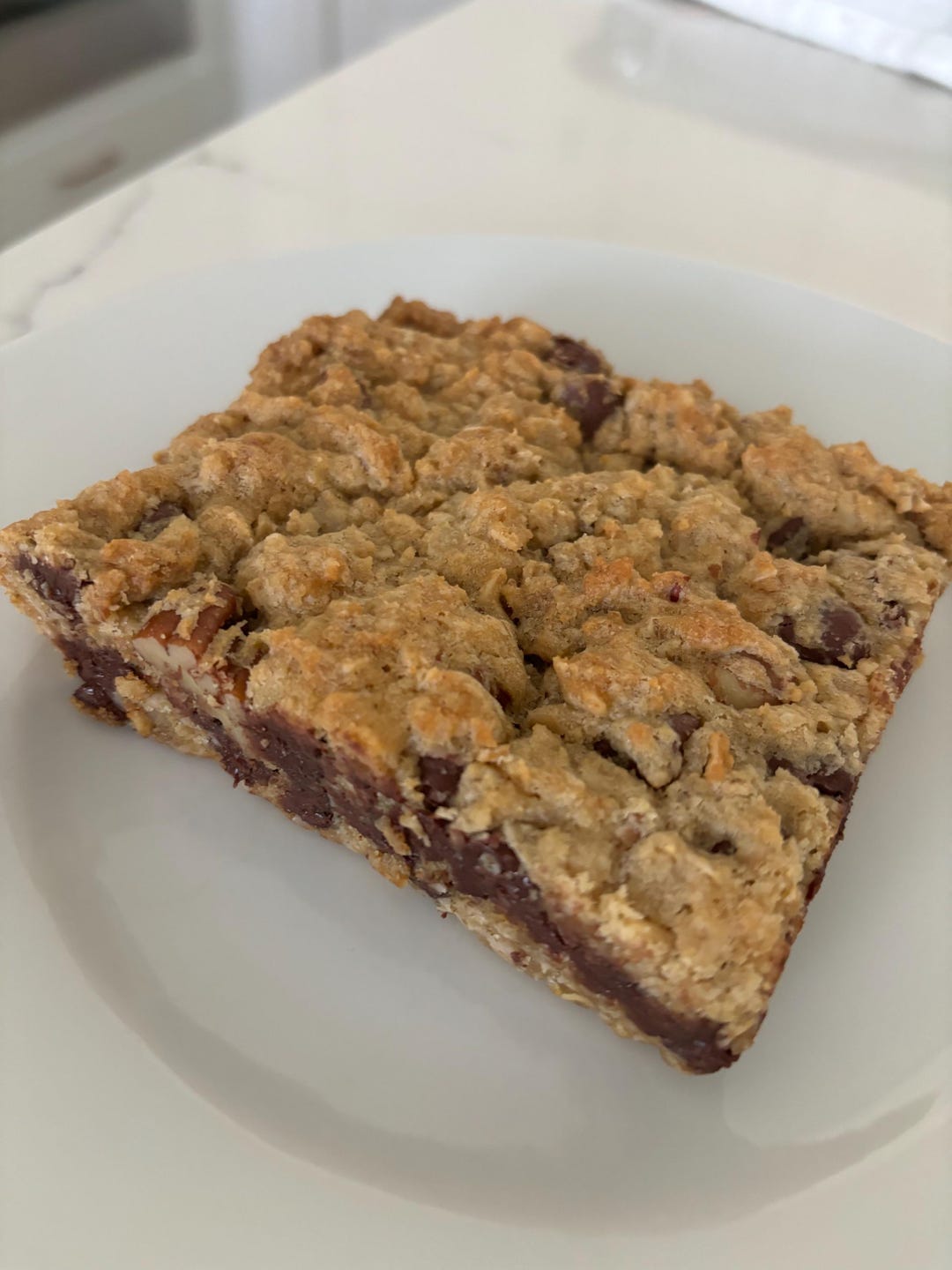 Oatmeal Chocolate Chip Pecan Bars (8x8 Pan), Homemade - Etsy