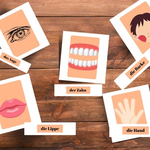 Learning German Body Parts Name With Games for Kids, Printable German ...