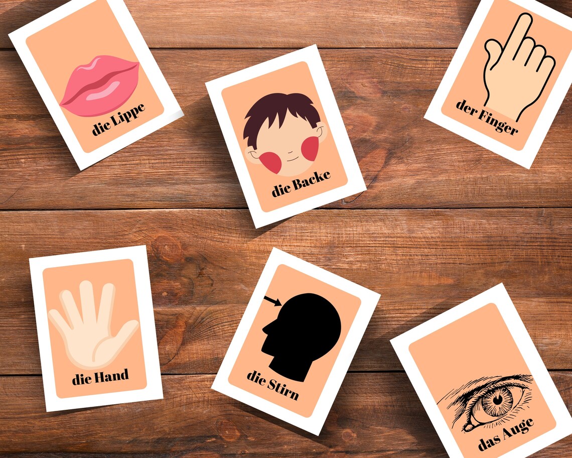 Learning German Body Parts Name With Games for Kids, Printable German ...