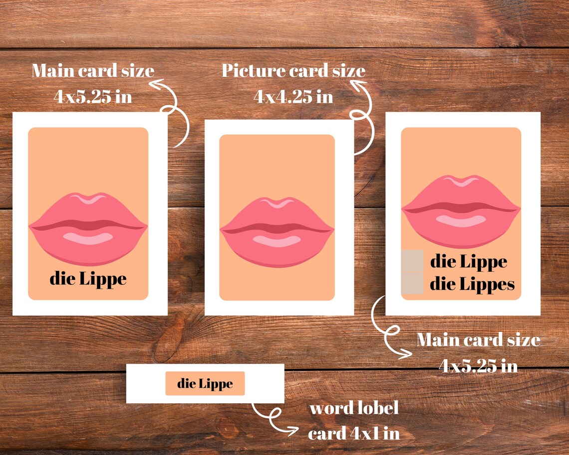 Learning German Body Parts Name With Games for Kids, Printable German ...