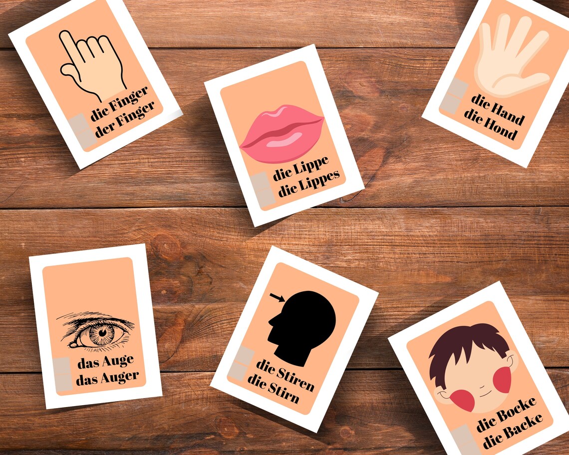 Learning German Body Parts Name With Games for Kids, Printable German ...