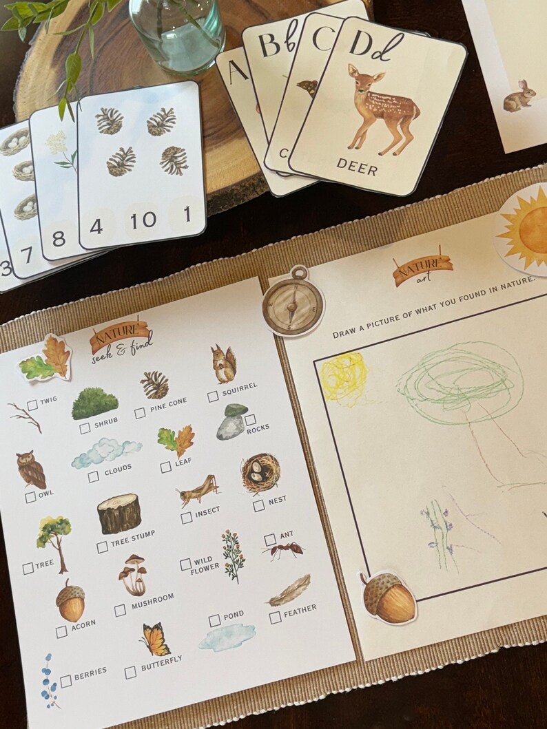 Nature Morning Basket Activity, Homeschool Unit, Nature Flashcards ...