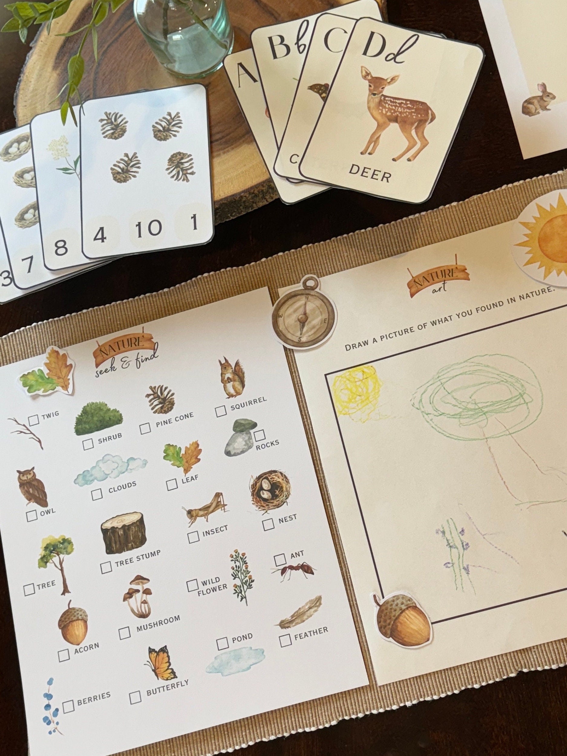 Nature Morning Basket Activity, Homeschool Unit, Nature Flashcards ...