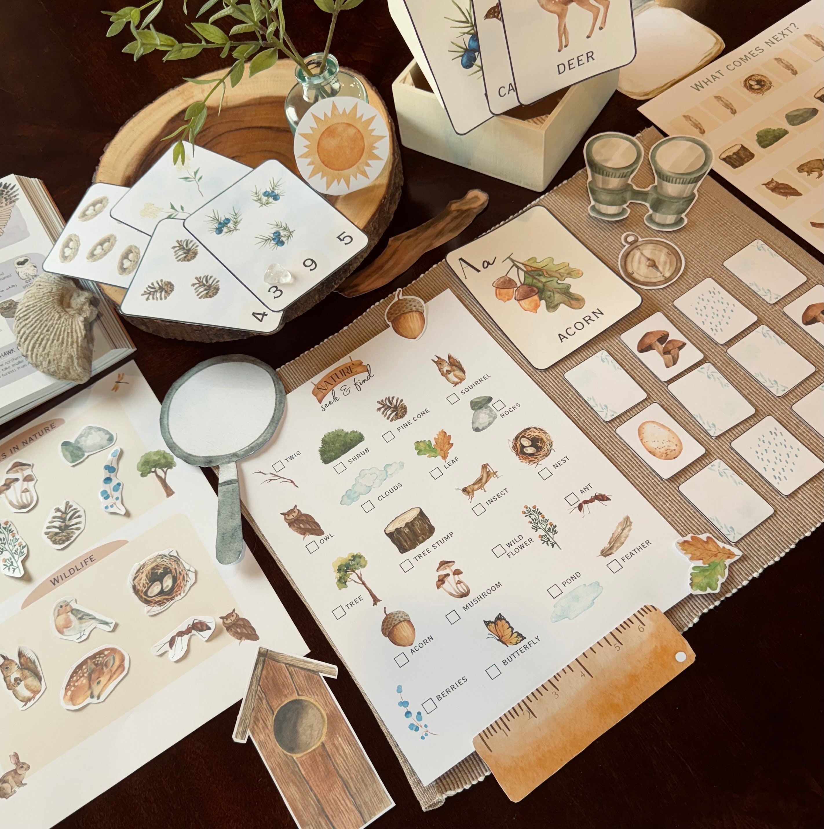 Nature Morning Basket Activity, Homeschool Unit, Nature Flashcards ...