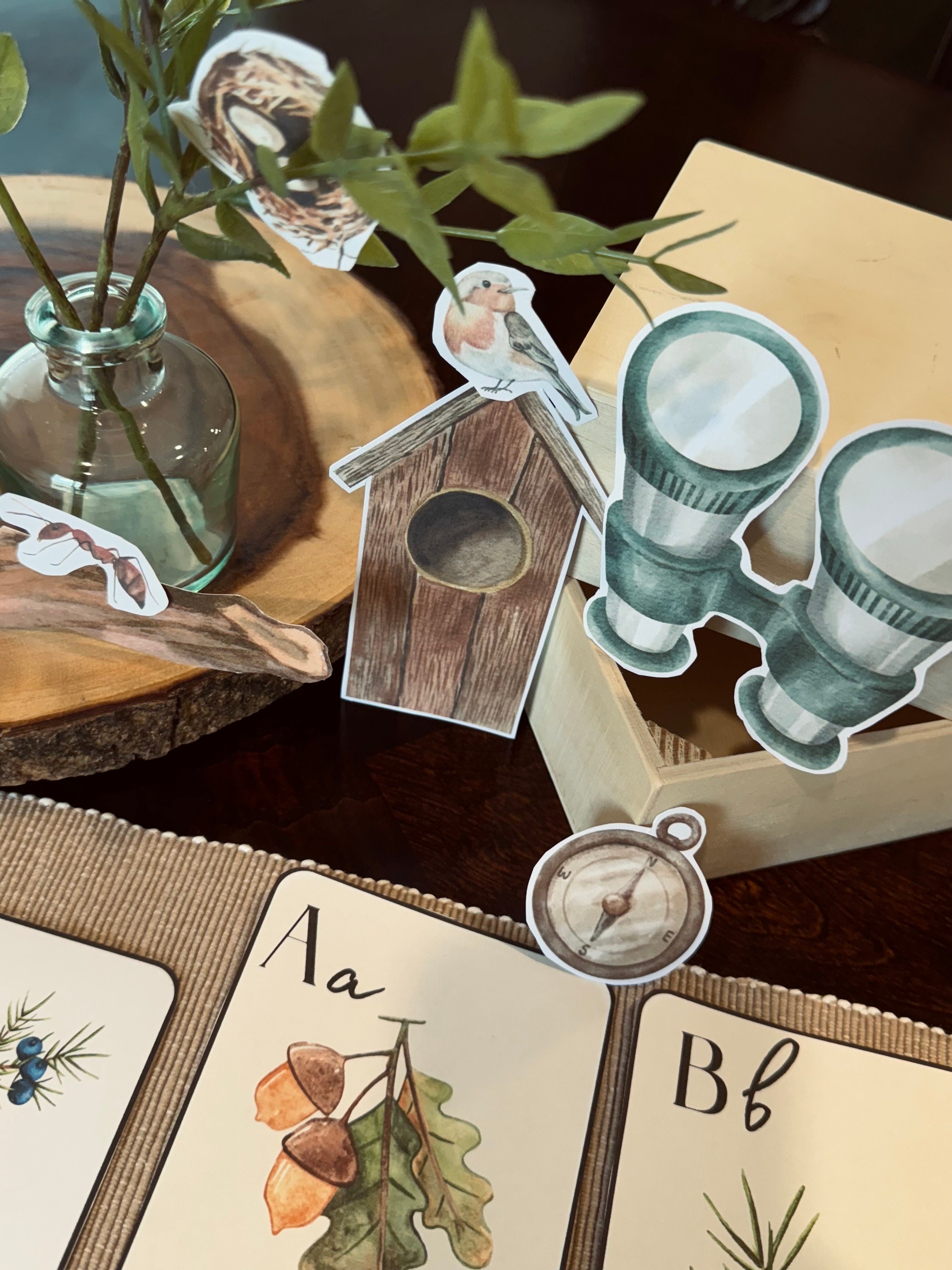 Nature Morning Basket Activity, Homeschool Unit, Nature Flashcards ...