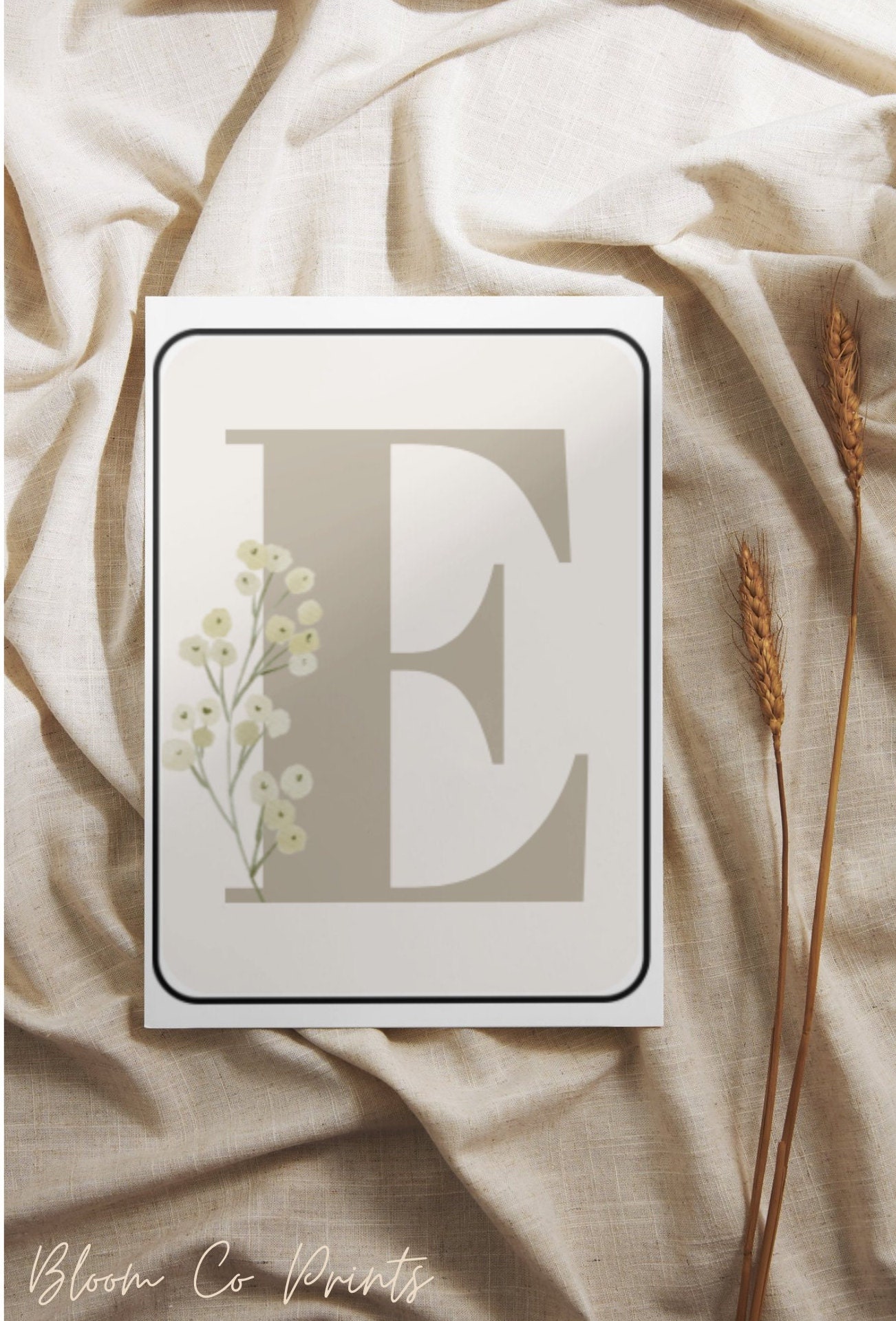 Wildflower Alphabet Cards, Preschool Cards, Homeschool Alphabet, Nature ...