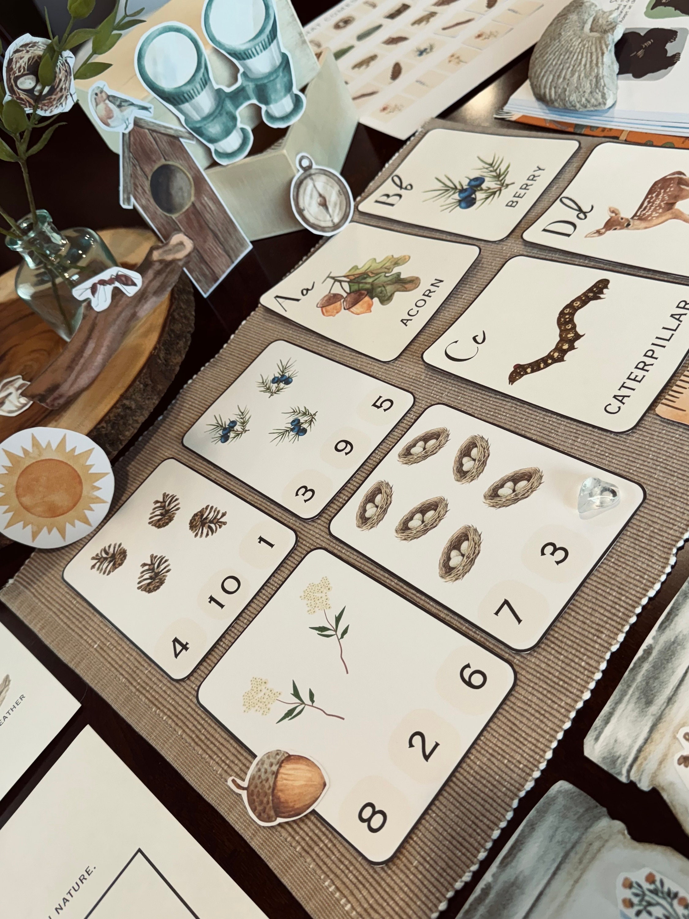 Nature Morning Basket Activity, Homeschool Unit, Nature Flashcards ...