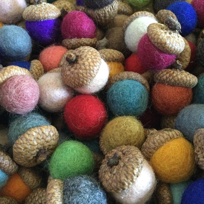 Colorful Acorns - Etsy