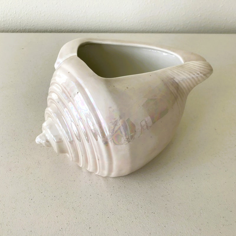 Conch Shell Planter - Etsy