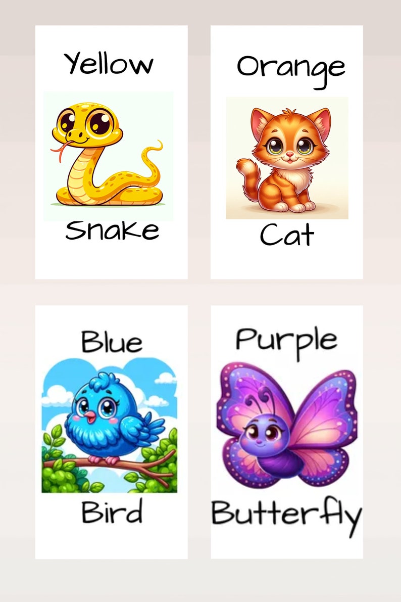 REGGIO Inspired Animal/colour Vocabulary Flashcards Montessori Early ...