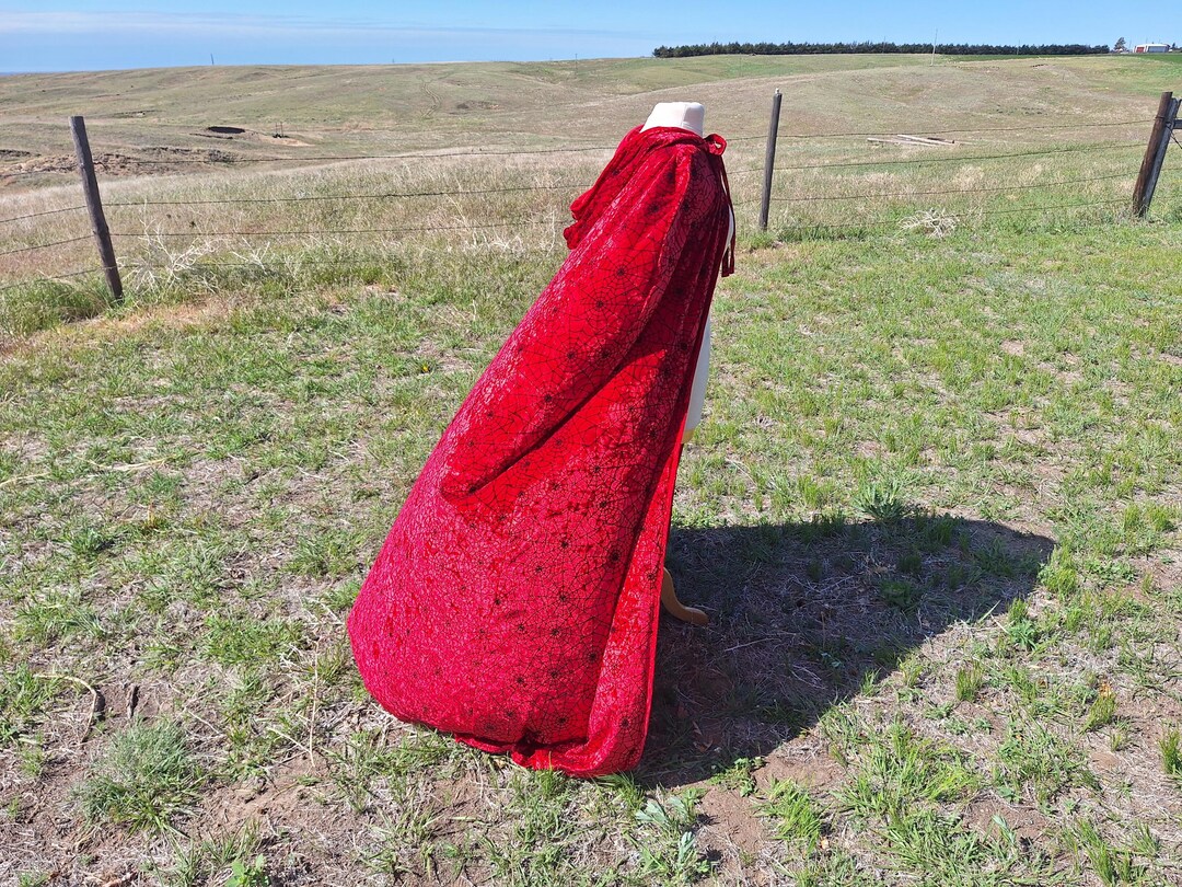 Red Velvet Cobweb Gothic Cape Halloween Costume Renaissance Clothing ...