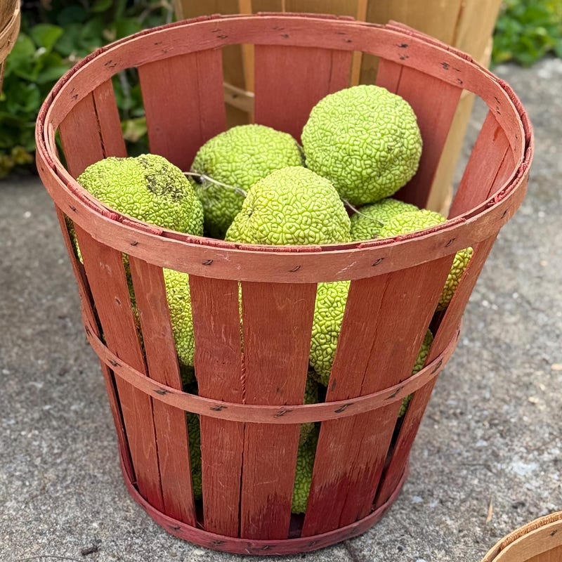 1/2 Bushel Baskets - Etsy