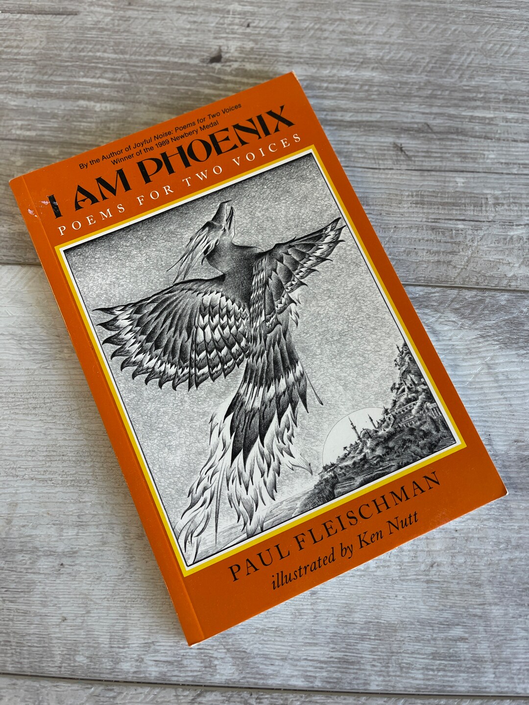 I Am Phoenix - Poems for Two Voices - Paul Fleischman, Illustrated by ...