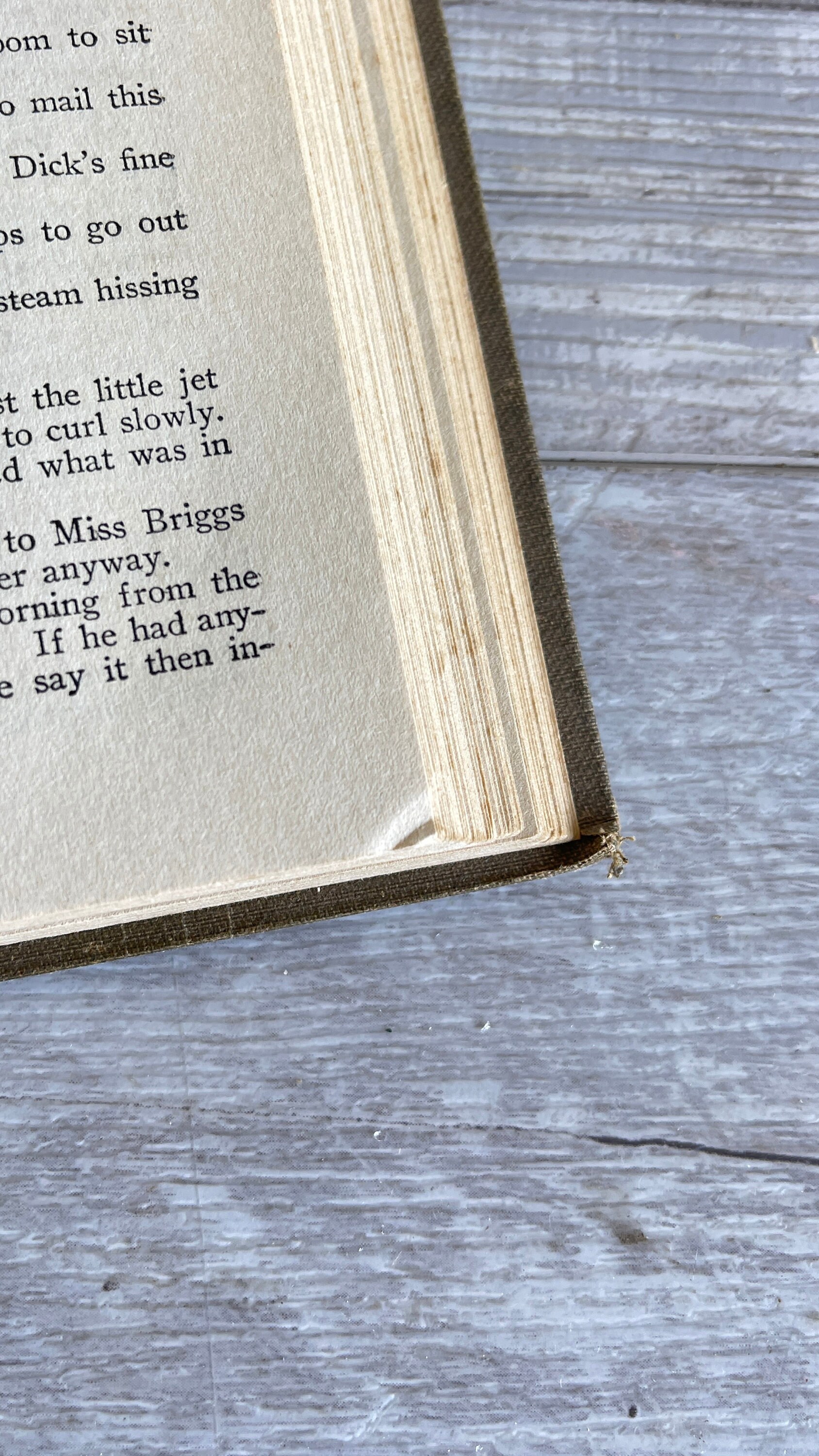 The Flapper Wife - Beatrice Burton 1925 Vintage Novel - Grosset and ...