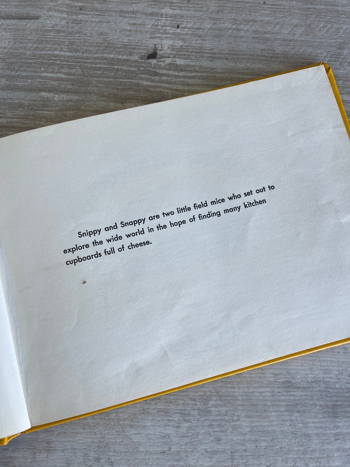 Snippy and Snappy by Wanda Ga'g 1931 27th Impression | Etsy