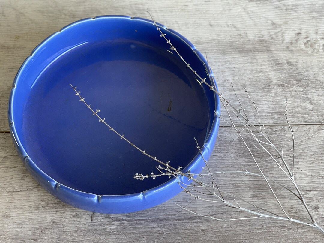 Vintage California Joaquin Pottery Bowl - Cactus Bulb Planter - Art ...