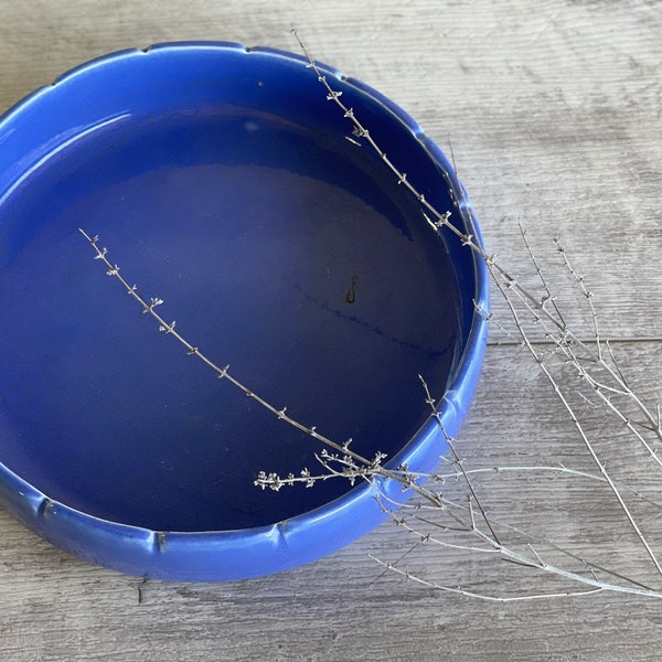 Cactus Pottery - Etsy