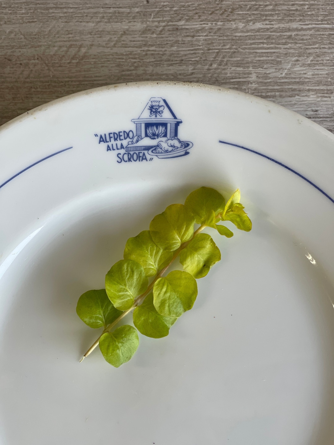 Vintage Richard Ginori Restaurant Plate Alfredo Alla Scrofa Italian ...