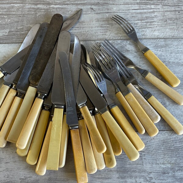 Vegetable Ivory - Etsy
