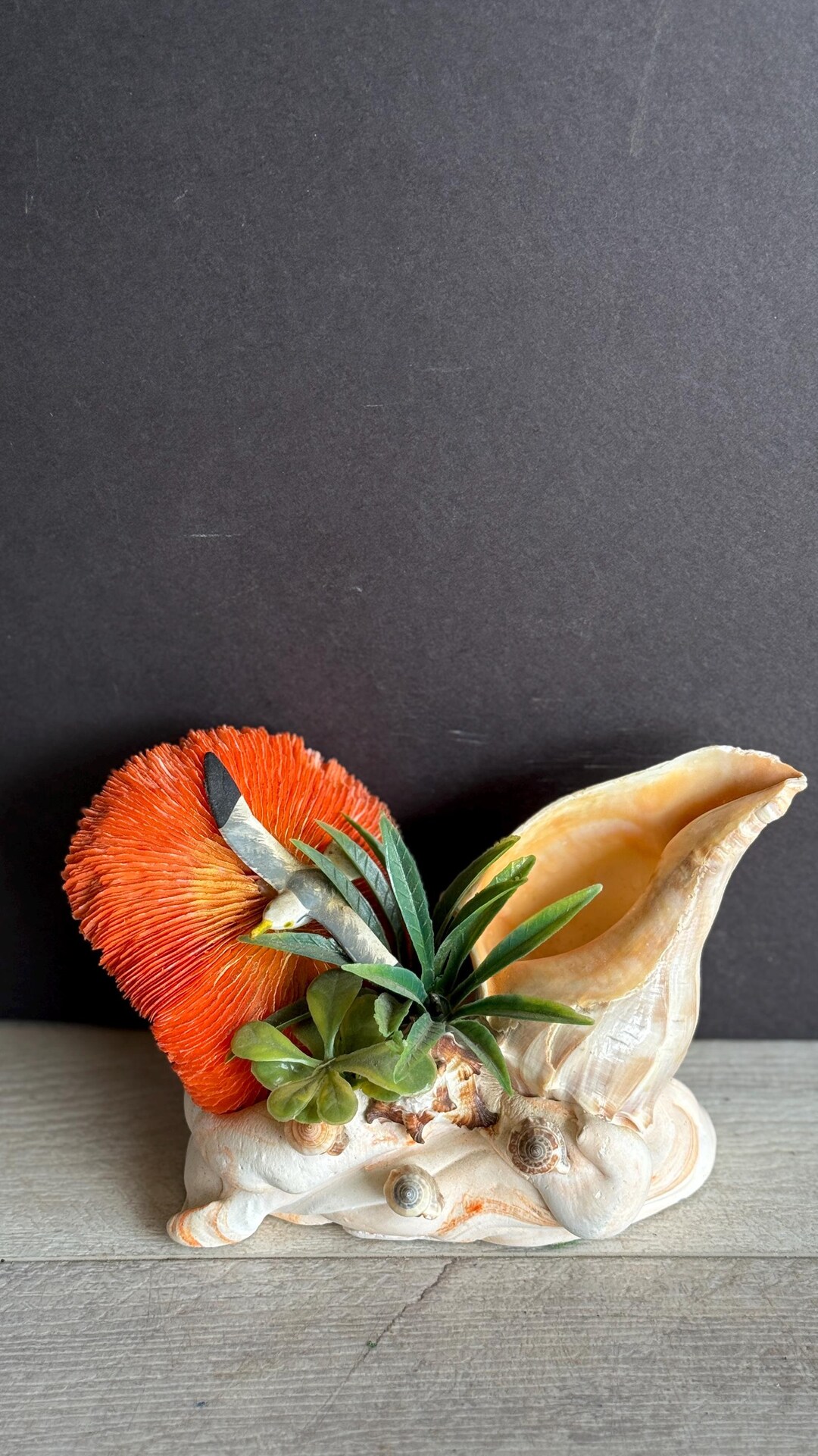 Vintage Sea Shell Shrine - Shell Art - Choice Mushroom Coral - Etsy