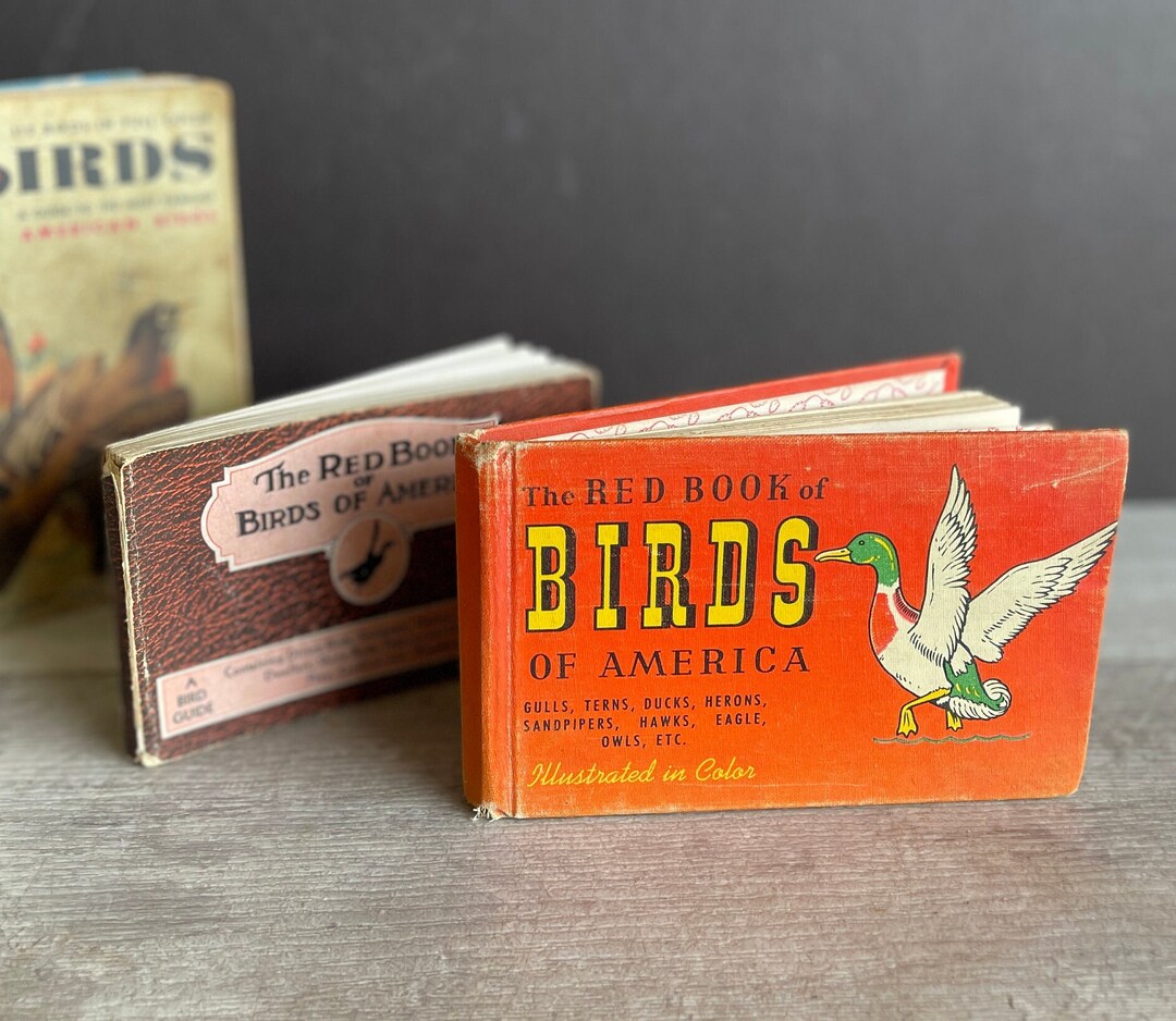 Vintage Red Book of Birds of America, 1931 and 1941 Editions Pocket ...