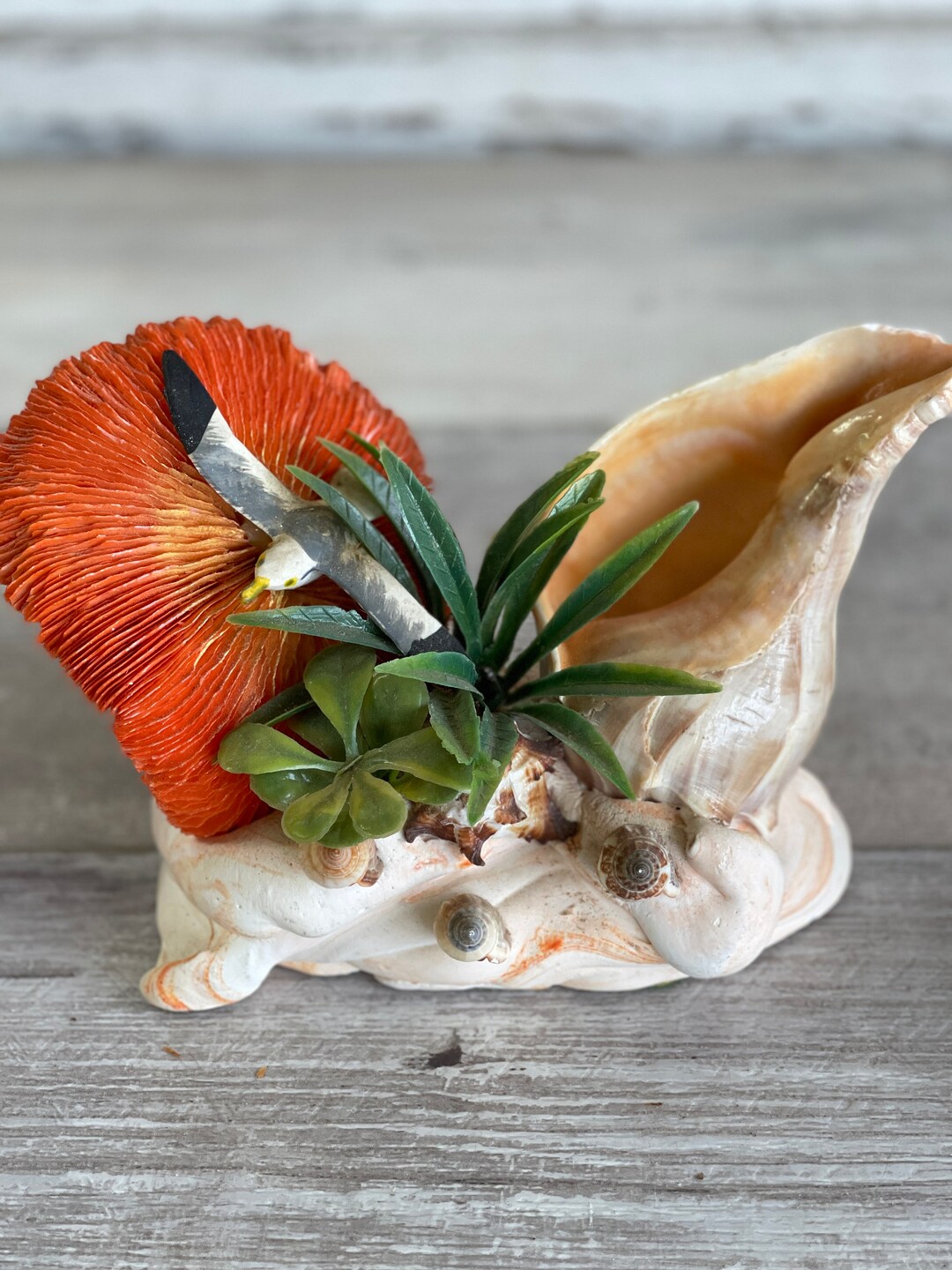 Vintage Sea Shell Shrine Shell Art Choice Mushroom Coral - Etsy