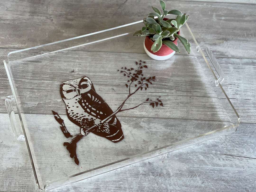 Vintage Acrylic Owl Tray: Brown Barn Owl Design, 1980s Decor - Etsy