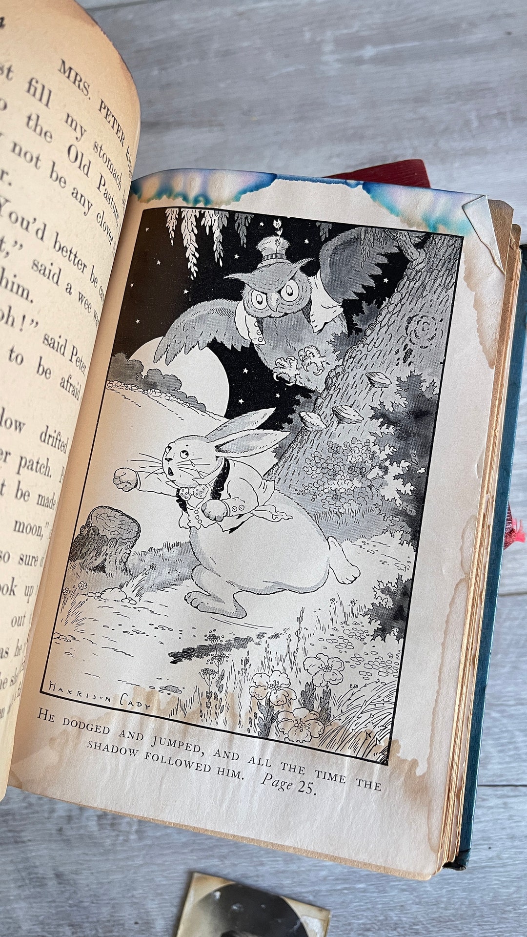 Mrs. Peter Rabbit - Thornton Burgess -1940s Wartime Edition - Etsy