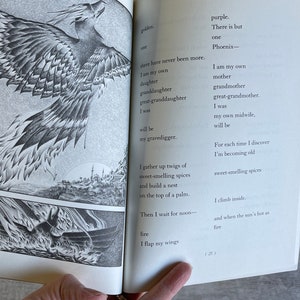 I Am Phoenix - Poems for Two Voices - Paul Fleischman, Illustrated by ...