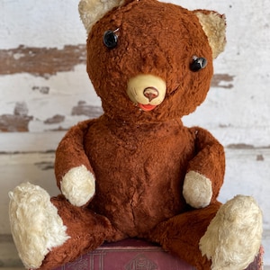 Antique Gund Cubbi Teddy Bear - 1950s Rubber Nose - Etsy