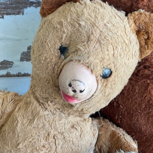 Antique Gund Cubbi Teddy Bear - 1950s Rubber Nose - Etsy