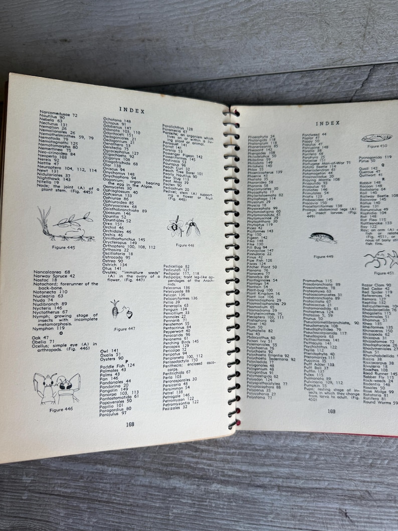 Vintage Book: Living Things and How to Know Them - H E Jacques - Spiral ...