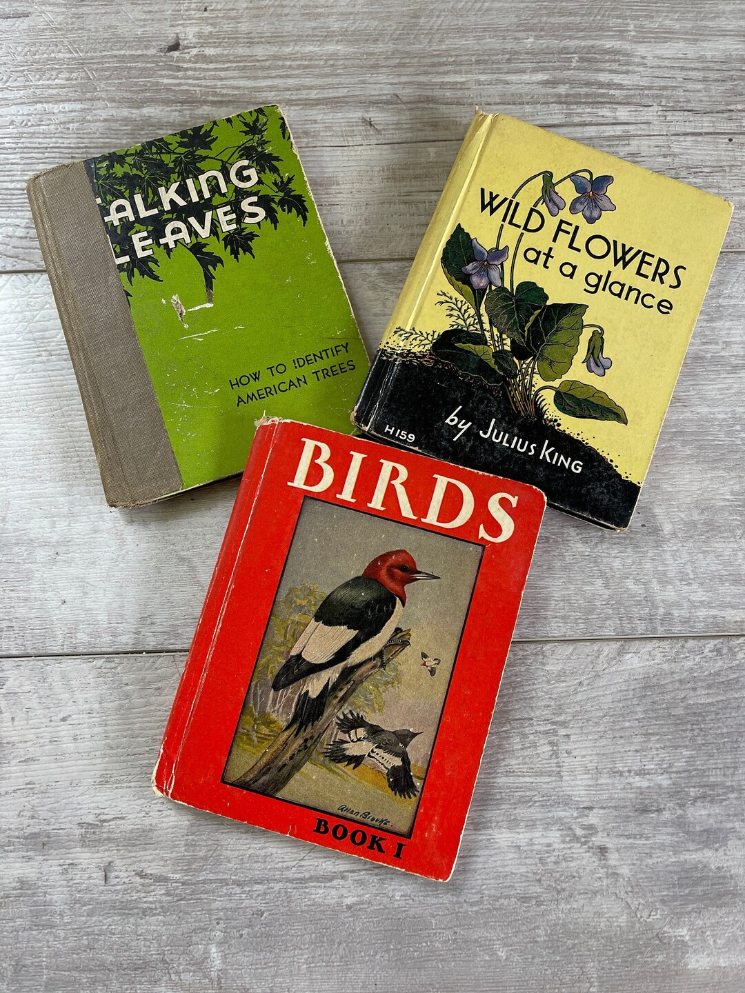 Vintage 1930s Vintage Hardcover Pocket Flower Bird and Tree ...