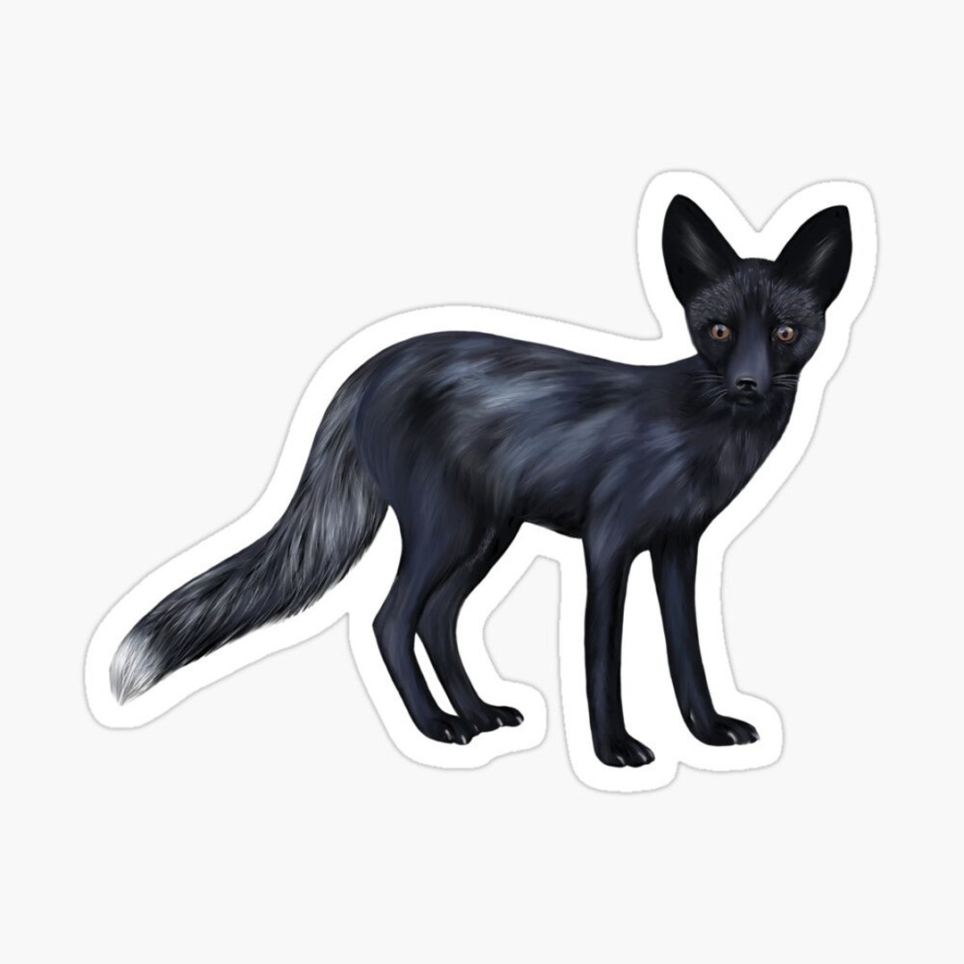 Silver Fox Sticker Two Sizes Small 2.7x4 Inch Larger Large 3.7x5.5 Inch ...