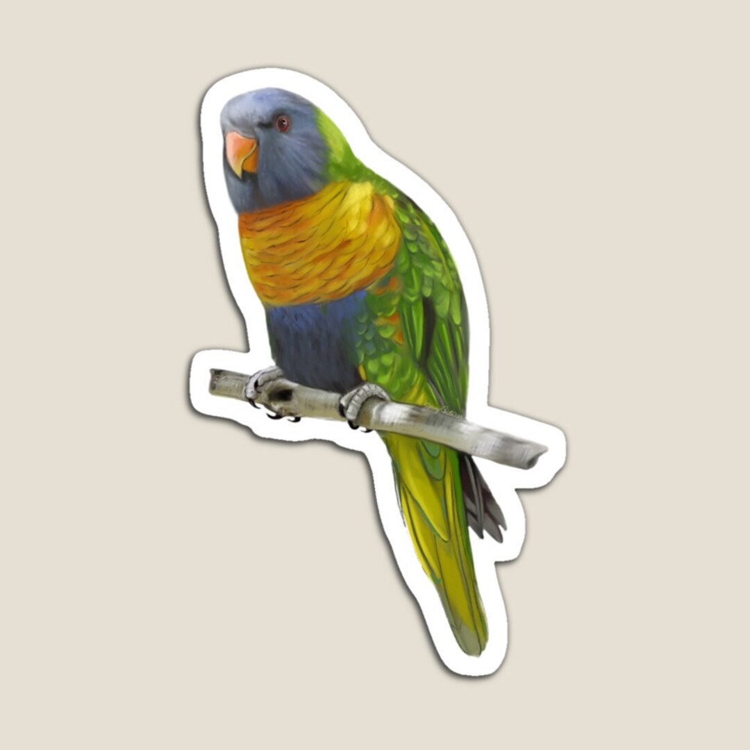 Loriini Parakeet Magnet 3 Sizes - Etsy