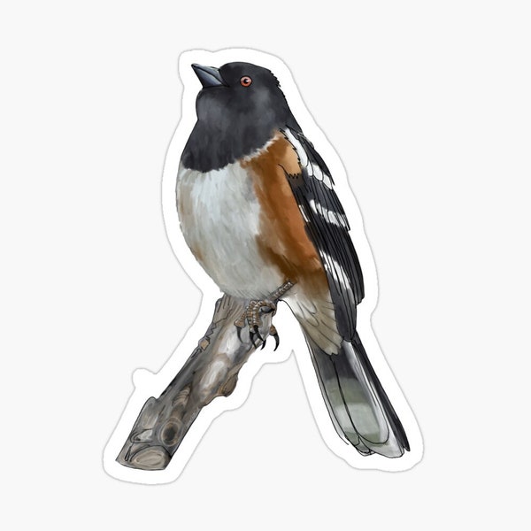 Towhee - Etsy