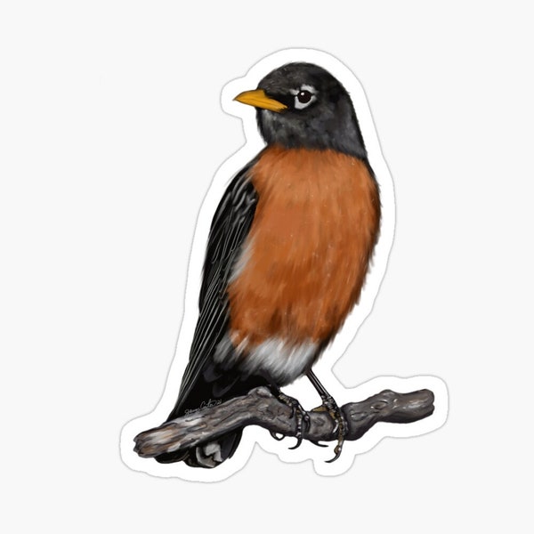 Robin - Etsy