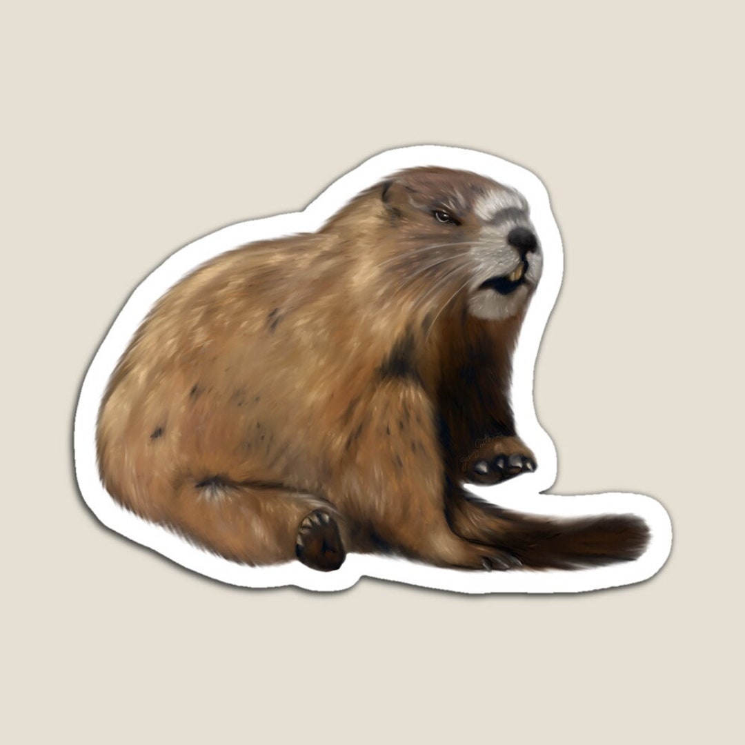 Marmot Sticker Three Sizes Small 2.8x2 Medium 3.7x2.7 Large 5.5x3.9 - Etsy