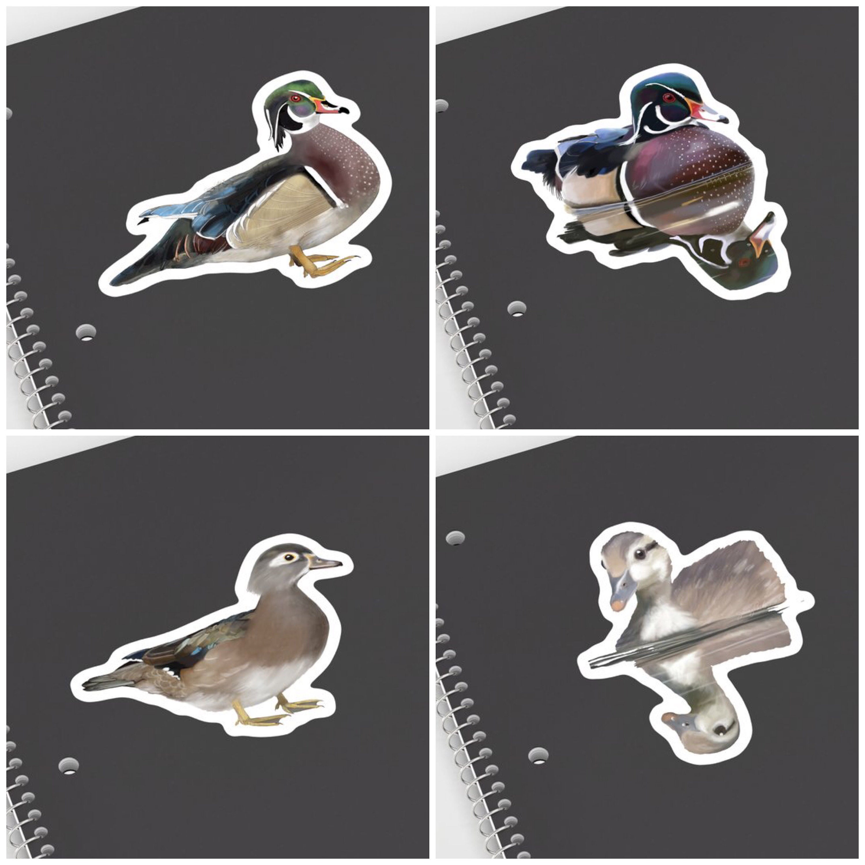 Paper & Party Supplies Paper Wood Duck Sticker 5-6 Inch Set of 4 etna ...