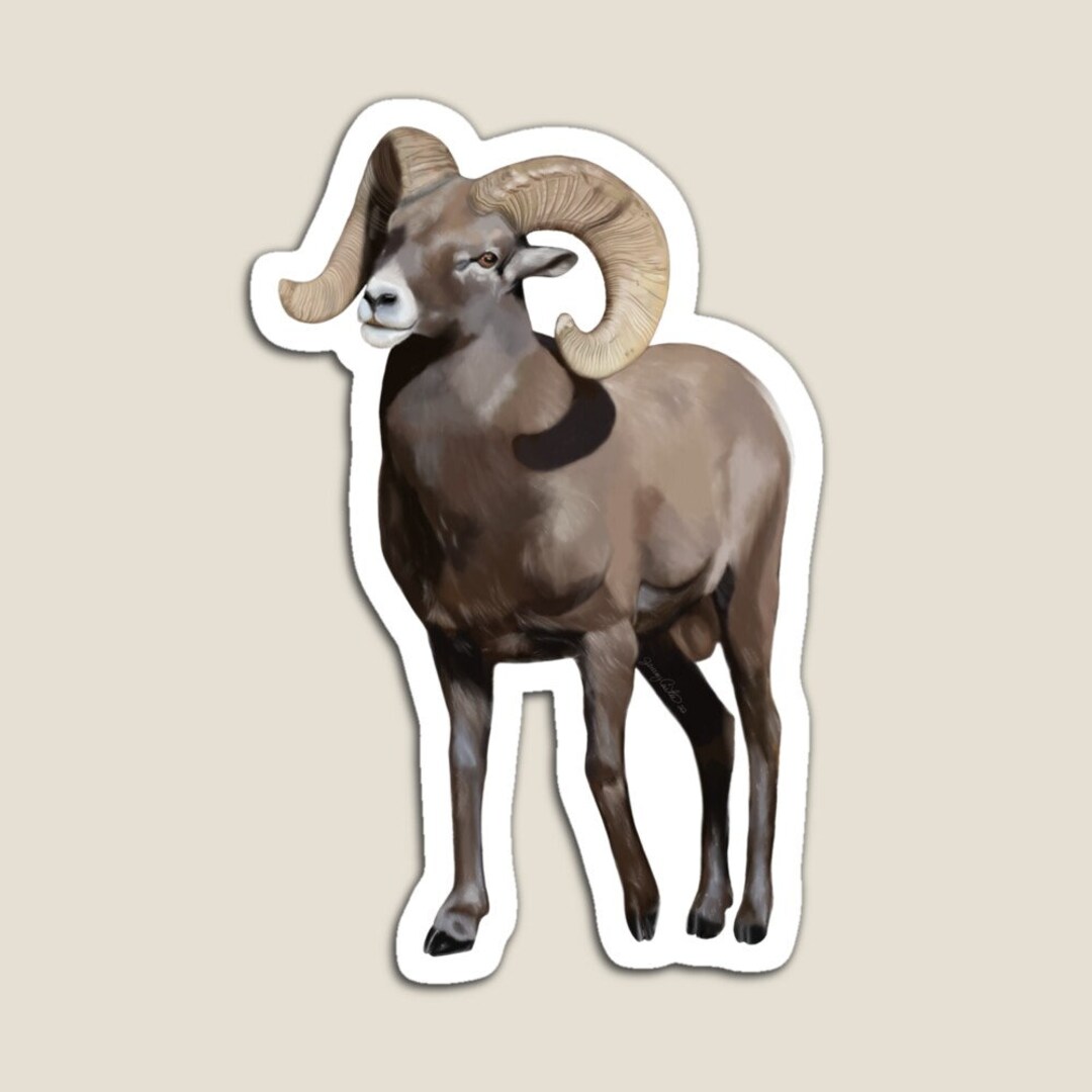 Ram Big Horn Sheep Magnet 3 Sizes - Etsy