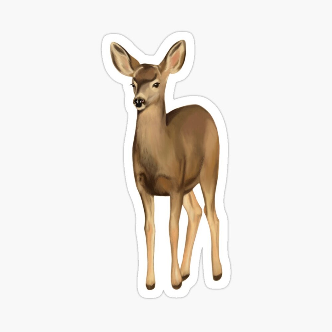 Juvenile Mule Deer Sticker Two Sizes Small 3x3.5 or Large 4.8x5.5 ...
