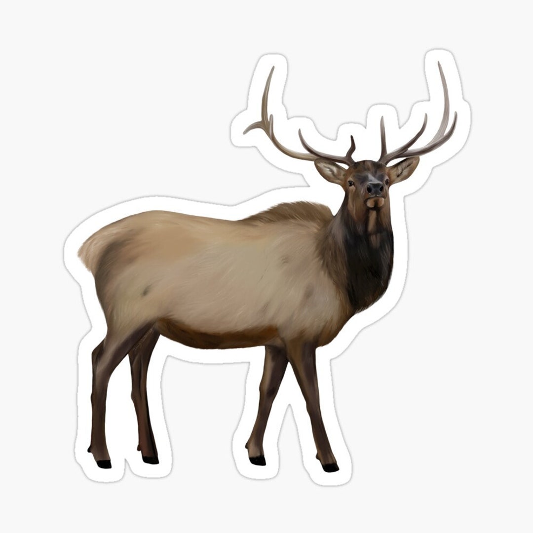 Bull Elk Sticker: Durable Water-resistant Vinyl Artwork - Etsy
