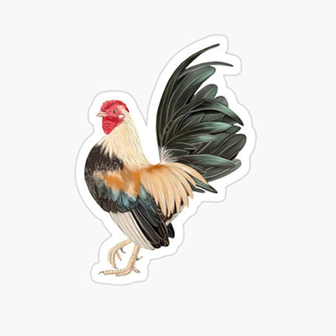 Rooster Sticker Two Sizes Small 2.9x4 Inch Larger Large 3.9x5.5 Inch ...