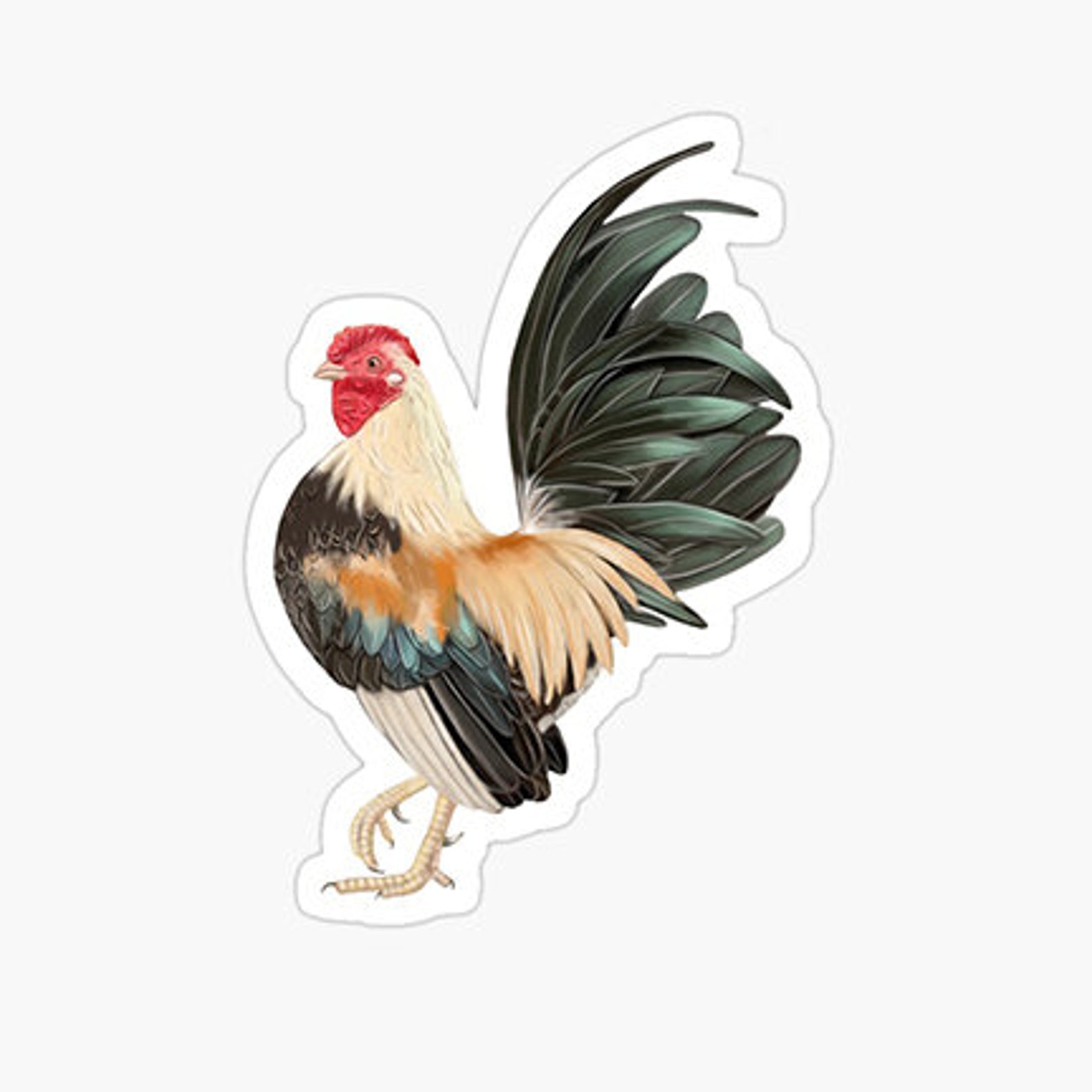Rooster Sticker Two Sizes Small 2.9x4 Inch Larger Large 3.9x5.5 Inch ...