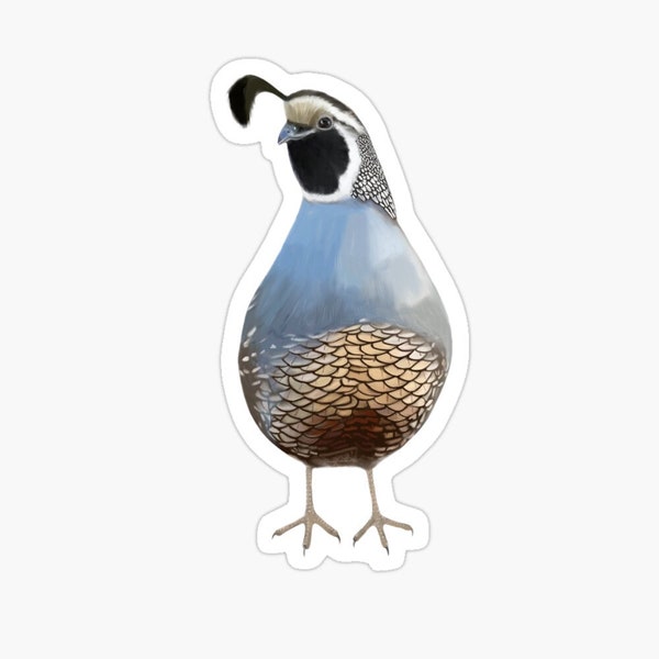 Quail Stickers - Etsy